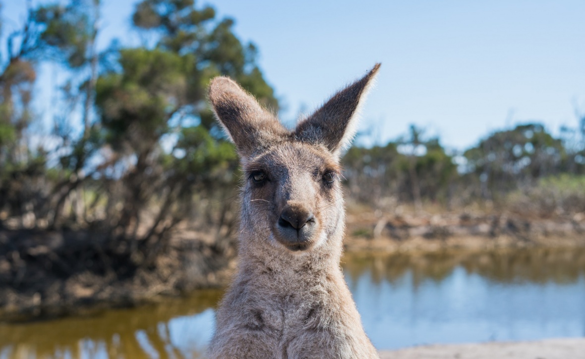 About - ClimateWatch Australia- Citizen Science App