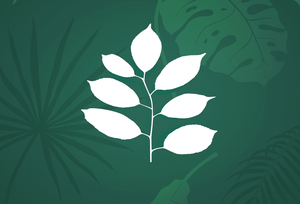 Plants - ClimateWatch Australia- Citizen Science App
