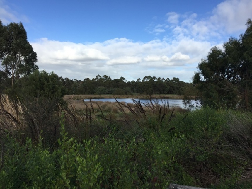 Lakewood Nature Reserve, Wantirna South, VIC - ClimateWatch Australia ...