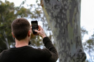 app - ClimateWatch Australia- Citizen Science App