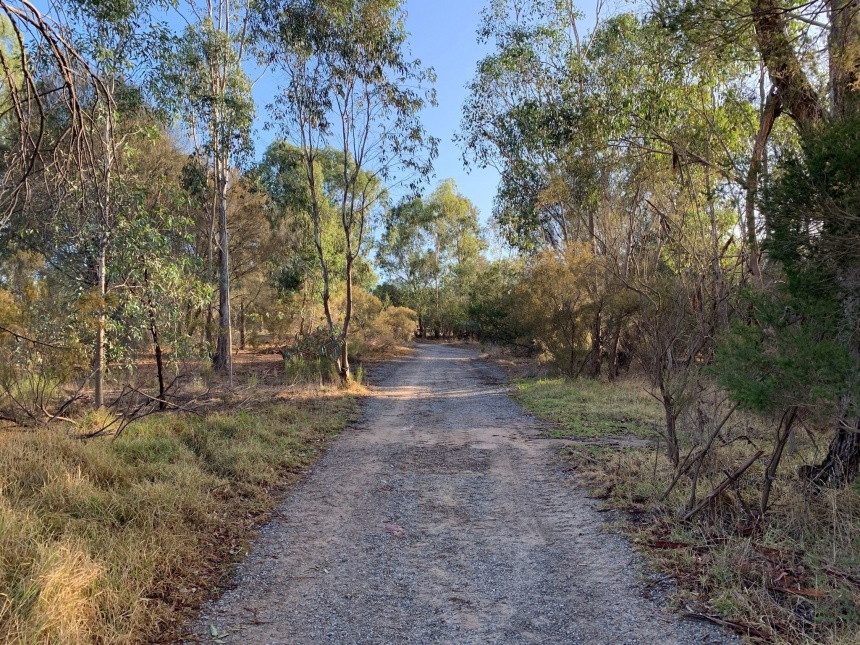 Gresswell Forest, VIC - ClimateWatch Australia- Citizen Science App