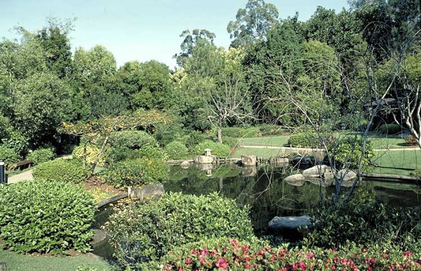 Brisbane Botanic Gardens, Mount Coot-tha, QLD - ClimateWatch Australia ...