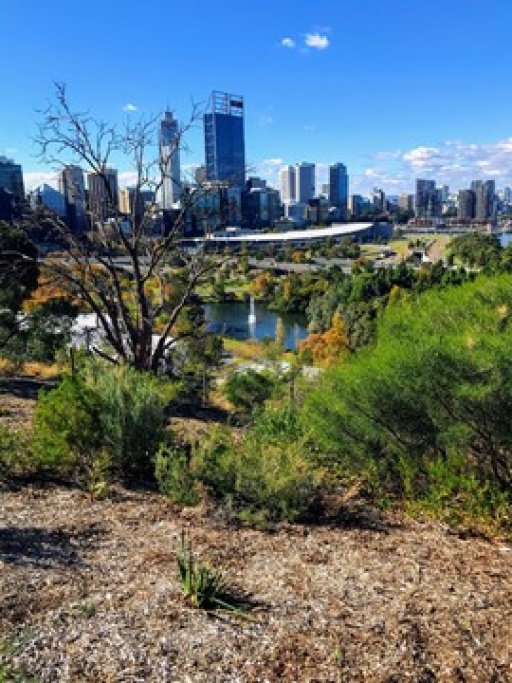 Home - ClimateWatch Australia- Citizen Science App