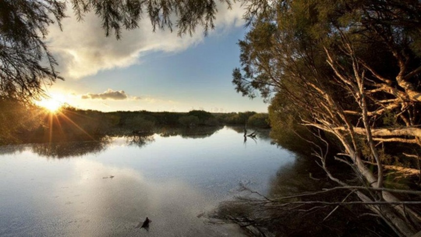 Kwinana, WA - ClimateWatch Australia- Citizen Science App